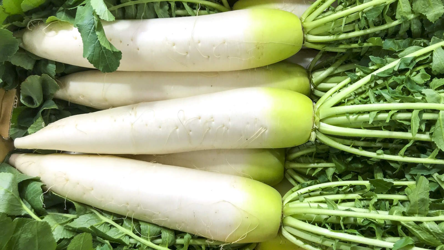 14 Must-Know Vegetables That Start With M