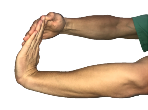 10 Best Hand Exercises For Gamers