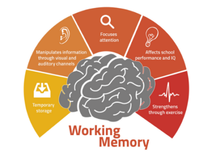 How To Improve Working Memory